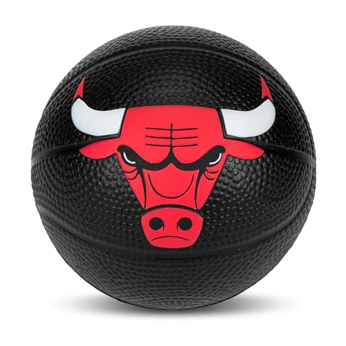 Snapklik.com : NBA Chicago Bulls Mini Foam Basketball - Kids 5.5 Inch ...