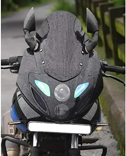Ride Adventure Bajaj Pulsar- 220F Bike Headlight Visor BK14 : Amazon.in ...