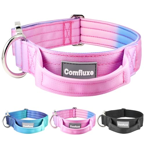 Strong Dog Collars – The 15 best products compared - Wild Explained