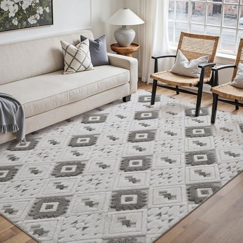 Amazon.com: WondRg 5x8 Grey and Ivory Shag Rug for Living Room Washable ...