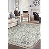 Amazon.com: Keen Home Design 3x5 Rug - Machine Washable Entry Rug with ...