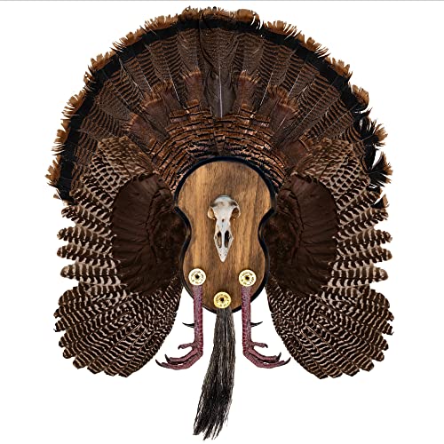 Amazon Best Sellers: Best Hunting Trophy Mounts
