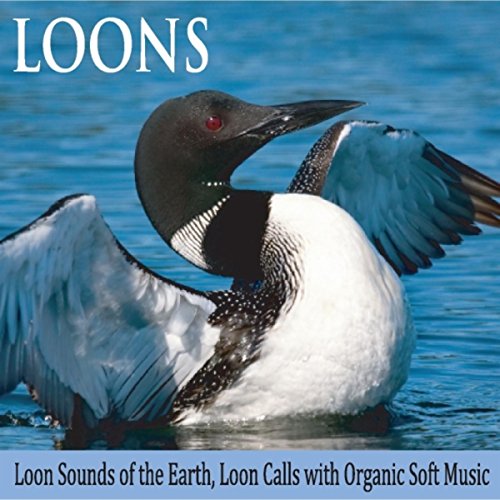 Amazon.com: Loons: Loon Sounds of the Earth, Loon Calls With Organic ...