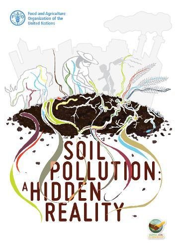 Soil Pollution: a Hidden Reality: 9789251305058: Medicine & Health ...