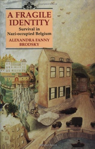 Fragile Identity: Brodsky, Alexandra Fanny: 9781860641305: Amazon.com ...