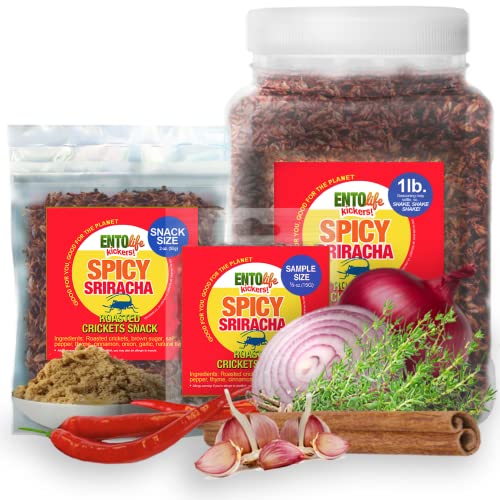 Order in Bulk: One Pound of Cleaned Sriracha Flavored Crickets - Insect ...