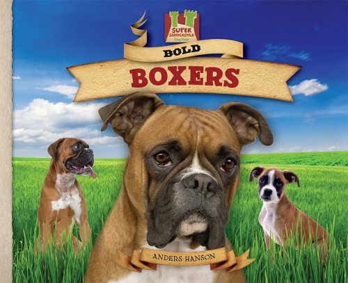 Bold Boxers (Dog Daze): Hanson, Anders: 9781604536157: Amazon.com: Books
