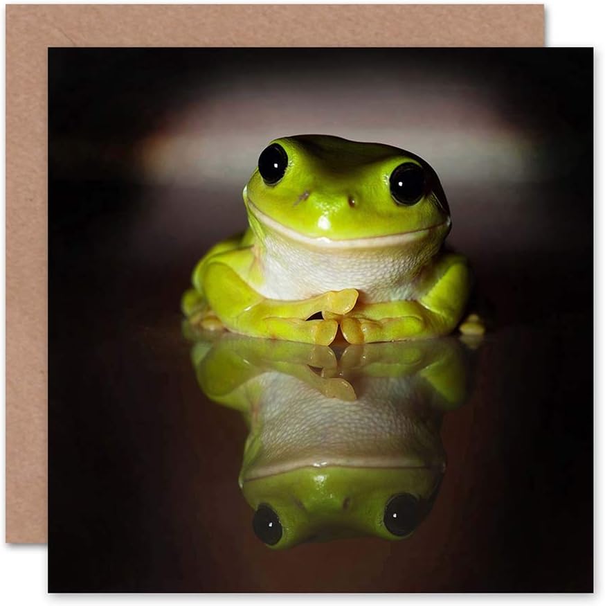 Amazon.com: Wee Blue Coo GREETINGS CARD BIRTHDAY GIFT ANIMAL GREEN FROG ...