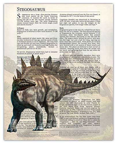 Amazon.com: Stegosaurus 8x10 Dinosaur Poster: Fuel Their Imagination ...