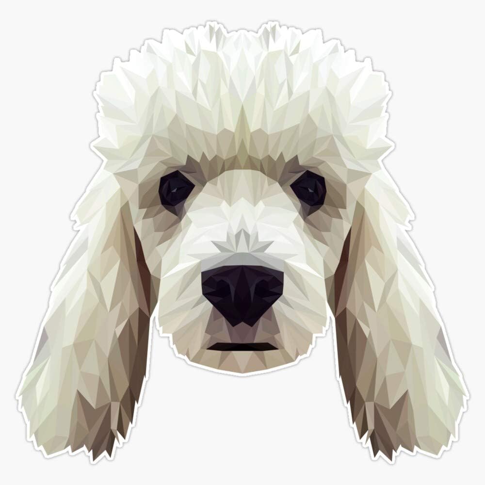 Amazon.com - Poodle Low Poly. Sticker Vinyl Waterproof Sticker Decal ...