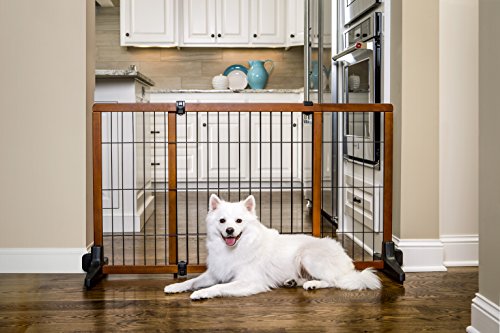 Top 10 Free Standing Safety Gate of 2022 - Katynel