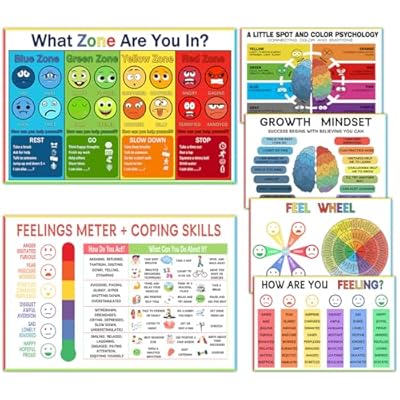 6 Zone of Regulation Posters Set for Anxious People Liberia | Ubuy