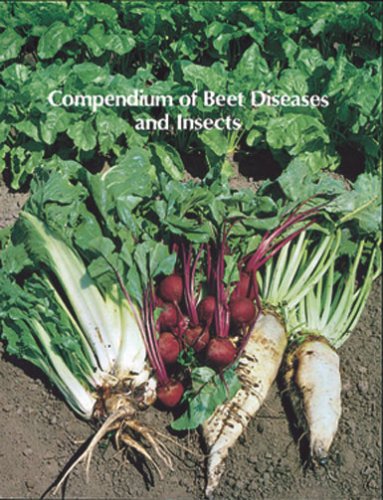 Amazon.com: Compendium of Beet Diseases and Insects (The Disease ...