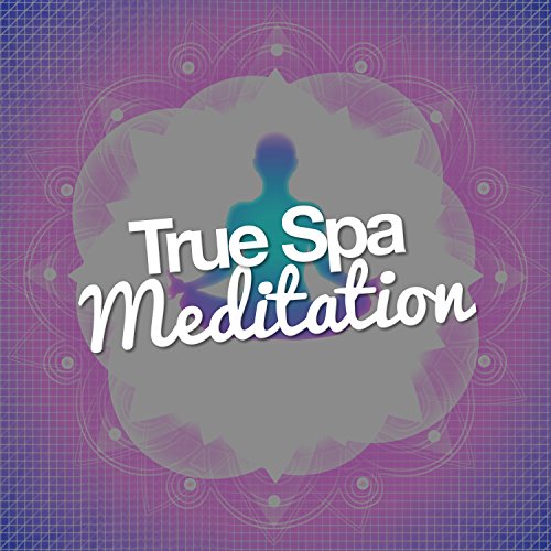 Amazon.com: True Spa Meditation : Spa & Relaxation: Everything Else