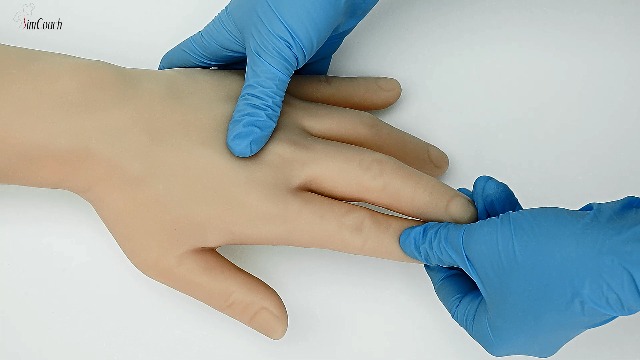 Nursing Student Essentials Iv Start Kit VEVOR Iv Kit Iv Practice Arm ...