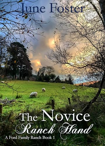 Amazon.com: The Novice Ranch Hand (A Ford Family Ranch Book 1) eBook ...