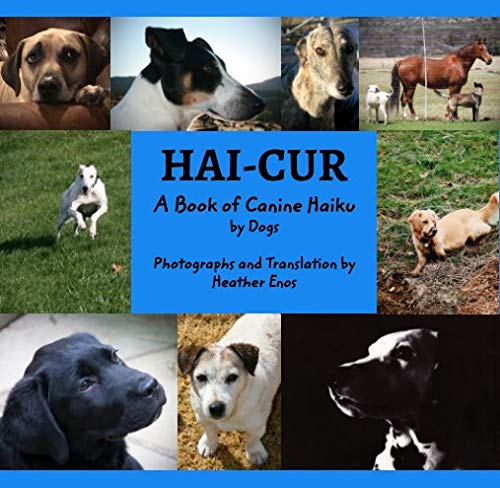 Hai-Cur: Heather Enos: 9781714224098: Amazon.com: Books