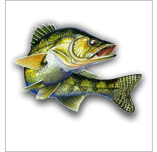 Amazon.com: Vinyl Junkie Graphics Walleye Sticker/Decal : Automotive