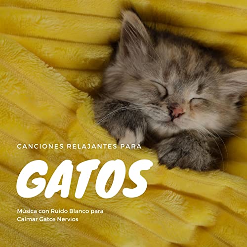 Play Canciones Relajantes para Gatos: Música con Ruido Blanco para ...