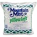 Amazon.com: Mountain Mist Pillowloft Pillowforms, 14-inch-by-14-inch ...