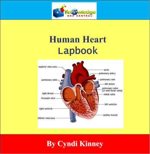Human Heart Lapbook - CD: Cyndi Kinney: 9781616252441: Amazon.com: Books