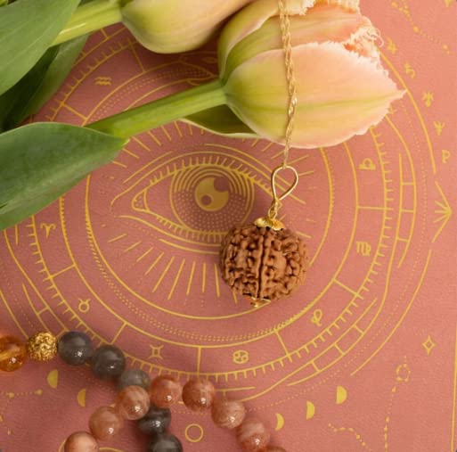 Empirical Jewels 1 Face Ruthratcham Real Genuine 1 Mukhi Nepali Gol ...