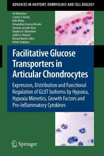 Facilitative Glucose Transporters in Articular Chondrocytes: Mobasheri ...