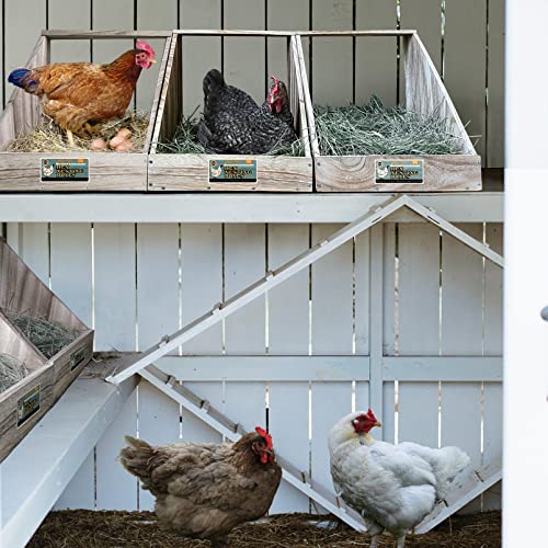 Snapklik.com : Single Compartment Hens Nesting Box, Chicken Coop ...