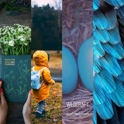 Amazon.com: Ultimate Crash Course in Witchcraft: Traditional Hereditary ...