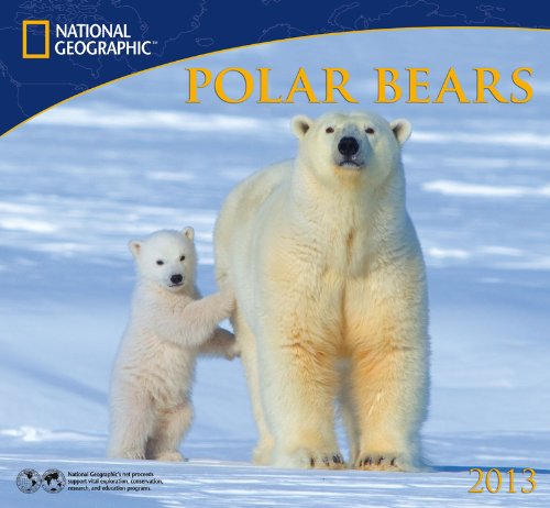 Amazon | National Geographic Polar Bears 2013 Calendar | Zebra ...