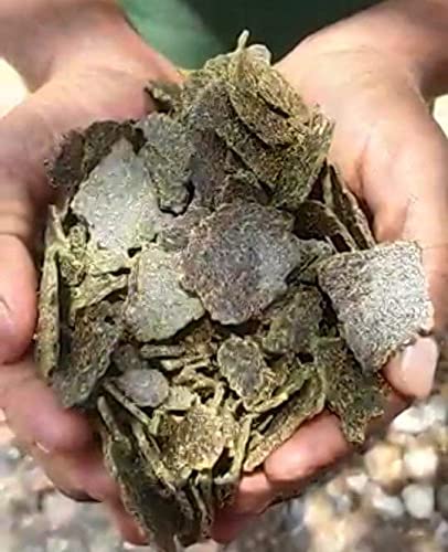 Nature Magic Mustard Cake/Aavalu chakka/Sarso Khali 1 Kilo @ ₹169/- for ...