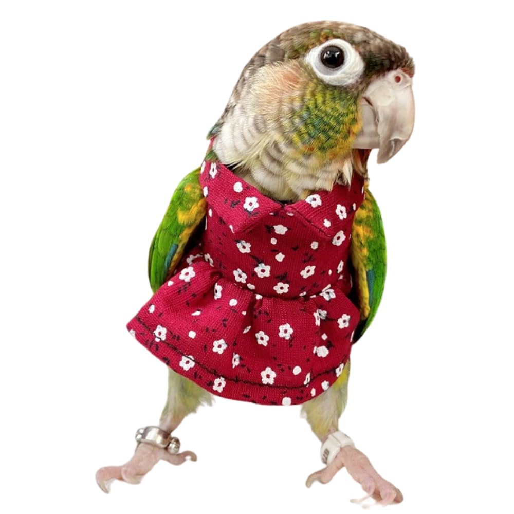 Amazon.com : Bird Costume Bird Diaper Flight Suit Vintage Floral Dress ...