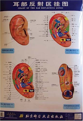 Chart of the Ear Reflective Zones: Amazon.co.uk: Zhu, Jiang ...