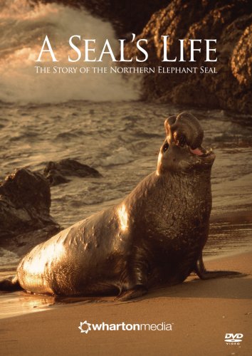 Amazon.com: A Seal's Life - The Story of the Northern Elephant Seal ...