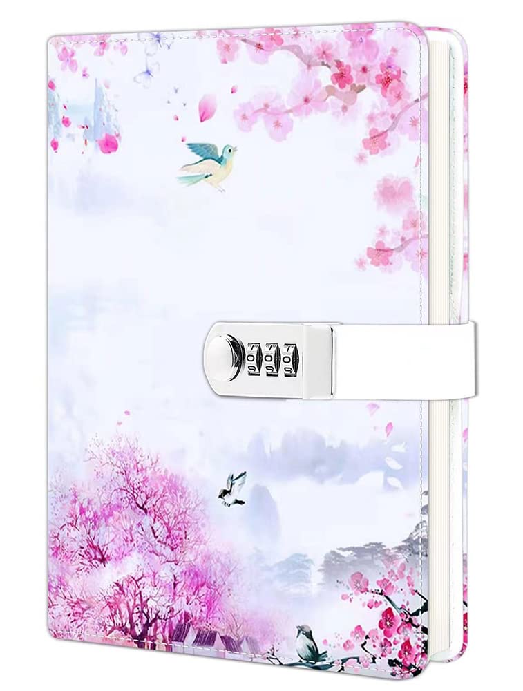 Amazon.com : Lock Diary for Women, A5 Creative Password Lock Journal PU ...