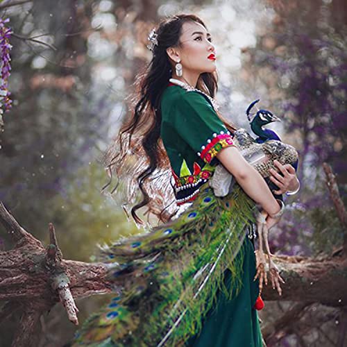 Play 70 Xyoo Ib Nplooj Siab Tsis Lwj by Nplooj Xyooj on Amazon Music ...
