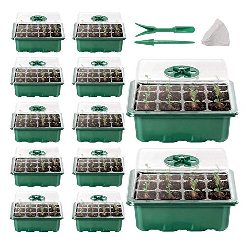 Greenhouse Plant Starter Kits - All About Greenhouses