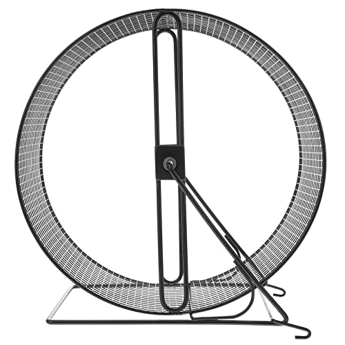 Top 10 Exercise Wheel For Chinchilla of 2022 - Katynel