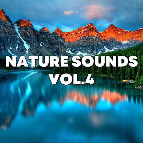 Chirping Insects Sounds song by Nature Sounds Nature Seasons, Outdoor ...