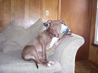 Amazon.com: Forsaken (Fall of Angels Book 2) eBook : Taylor, Keary: Kindle Store