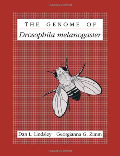 Amazon.com: The Genome of Drosophila Melanogaster: 9780124509900 ...
