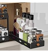 Amazon.com: BOIVSHI Pull Out Spice Rack Organizer, 2-Tier Vertical ...