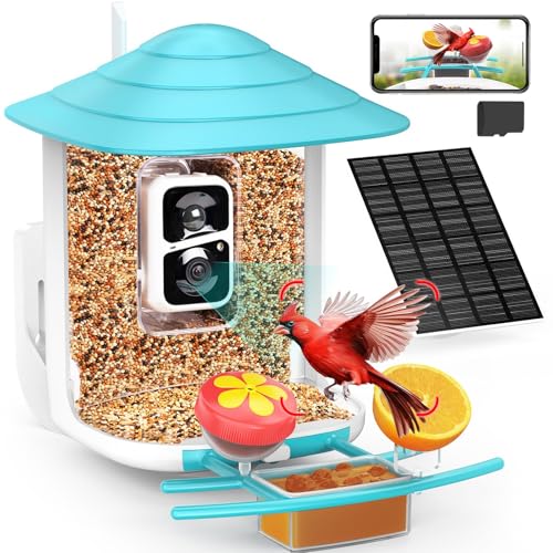 10 Best bird watching video camera