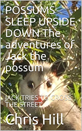 POSSUMS SLEEP UPSIDE DOWN The adventures of Jack the possum : JACK ...