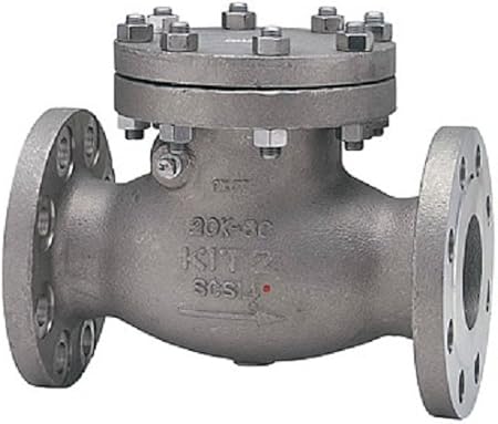 Amazon | キッツ ステンレス鋼製20Kスイングチャッキバルブ “Aシリーズ[SCS14A]" KITZ-20UOAM 65A | DIY・工具・ガーデン