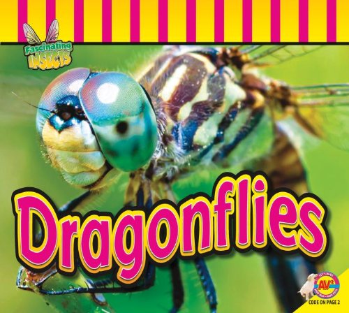 Dragonflies (Av2 Let's Read! Fascinating Insects) : Carr, Aaron: Amazon ...