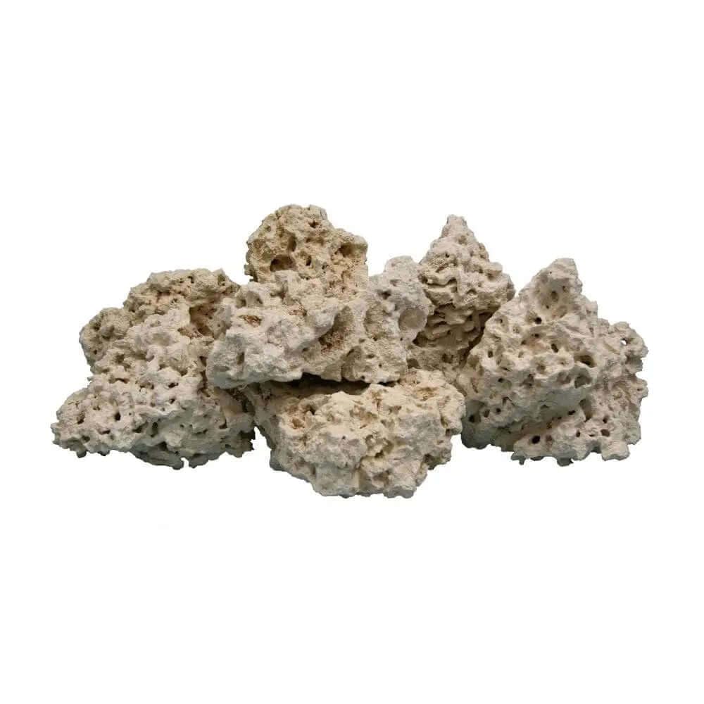 Buy Nature's Ocean Atlantic Base Rock Coral Reef, 50 Lbs - Premium ...