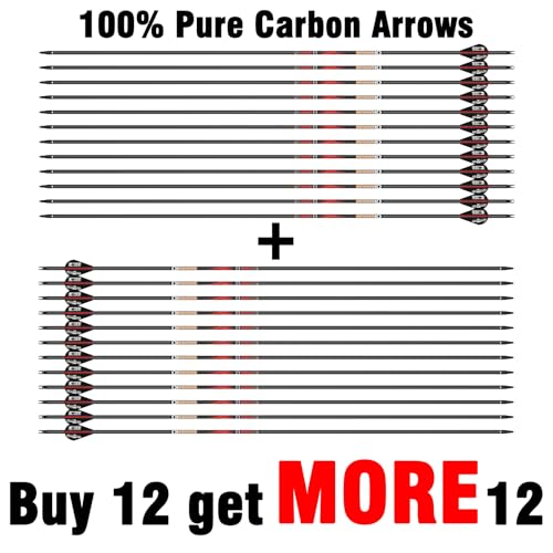 Sanlida Archery Dragon 10 Carbon Hunting Arrows 24Pcs 300 Spine and ...
