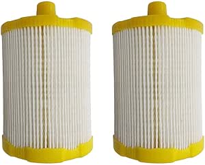 Amazon.com : 2PK Air Filter for Briggs & Stratton Vanguard Replaces ...
