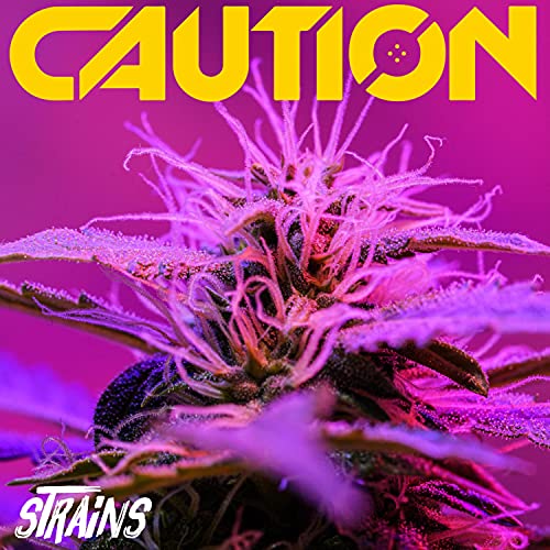 Strains de DJ Caution en Amazon Music Unlimited